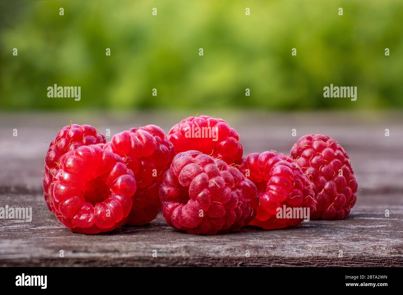 Mature raspberries hi-res stock photography and images - Alamy