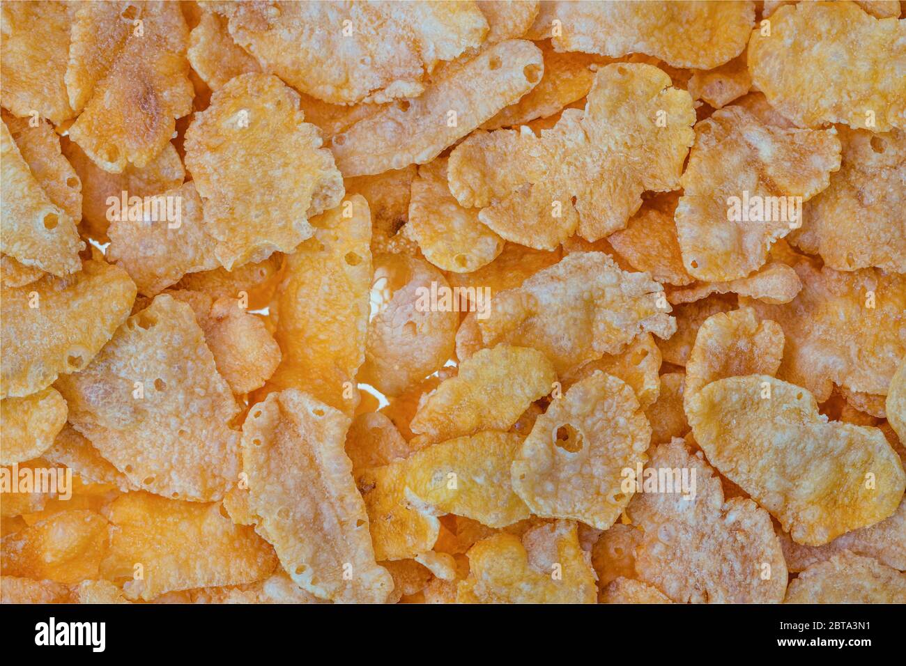 Close up macro view of cornflakes isolated. Beautiful healthy food ...