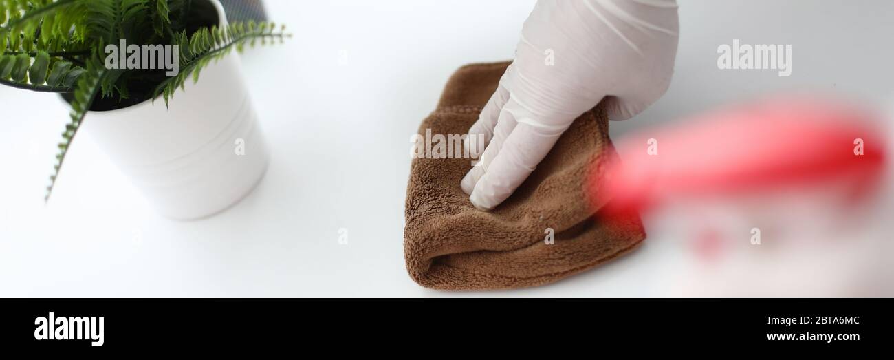 Thorough cleaning hi-res stock photography and images - Alamy