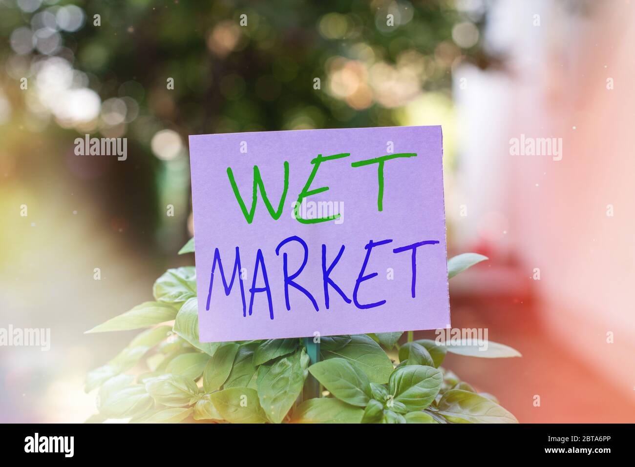 Handwriting text Wet Market. Conceptual photo market selling fresh meat ...