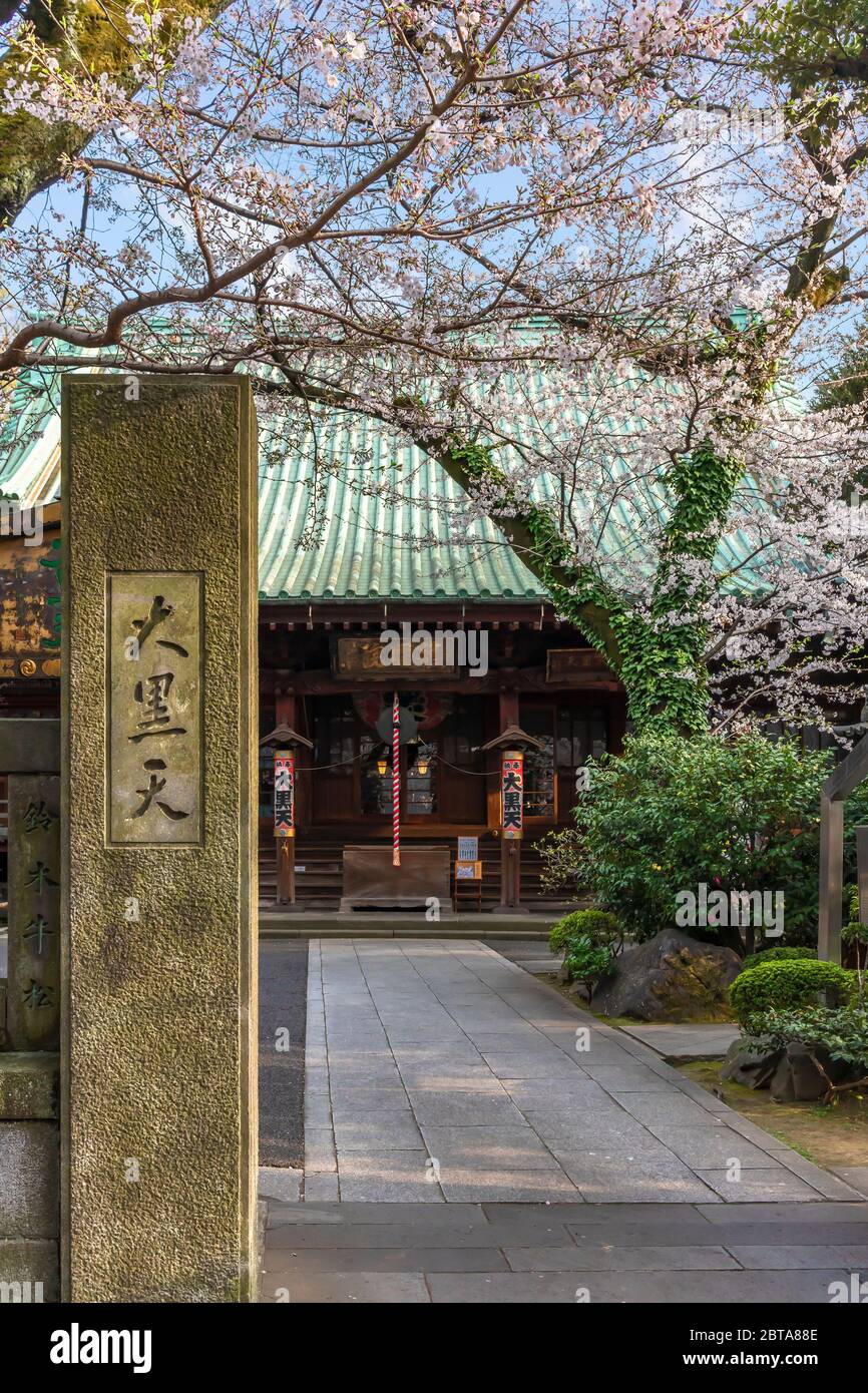 Moss Covered Wall High Resolution Stock Photography and Images - Alamy