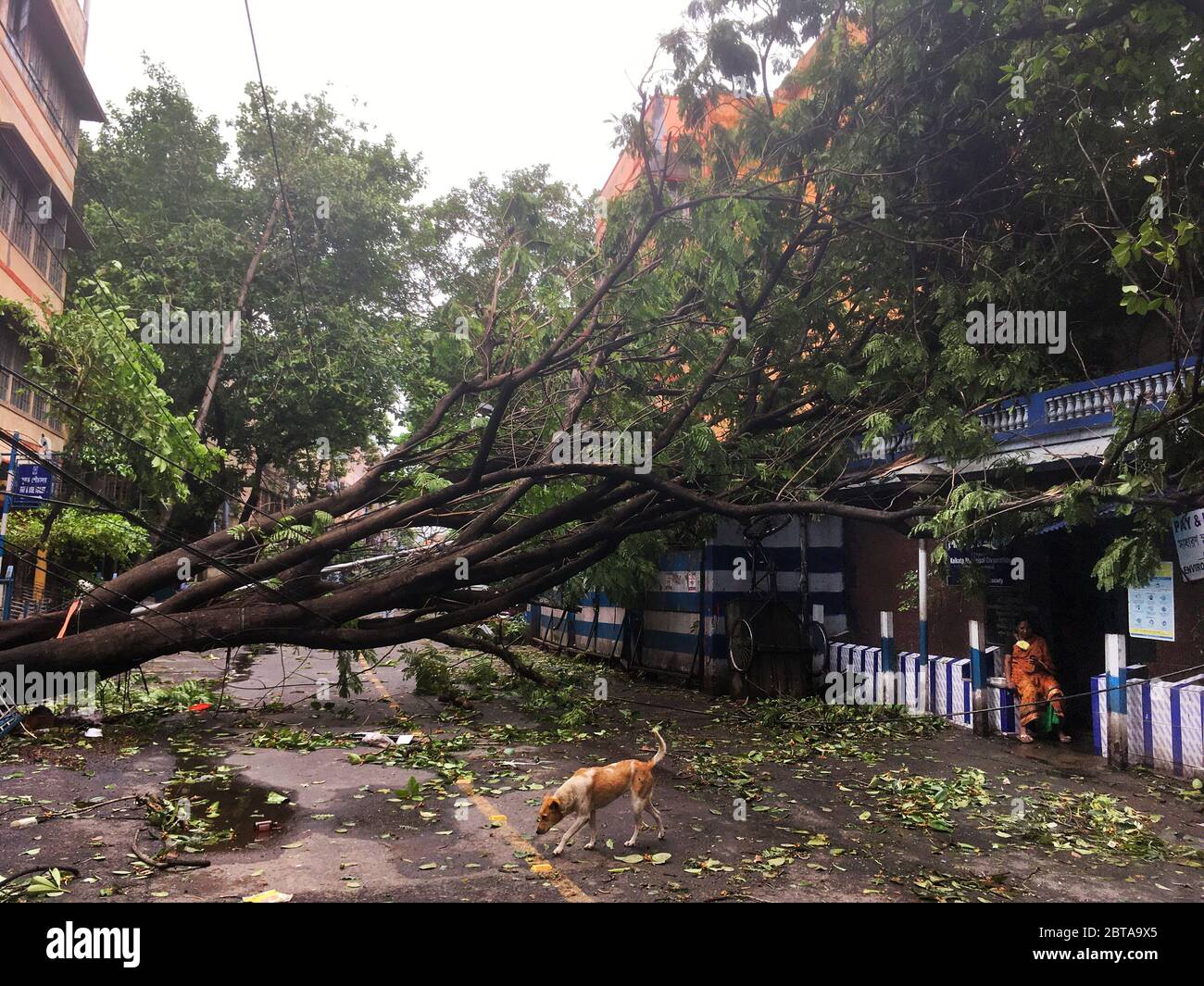 India. 21st May, 2020. The strongest cyclone to have struck in years ...
