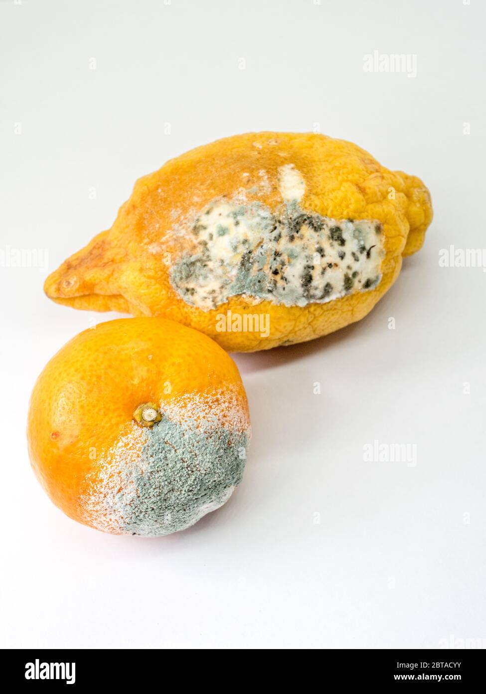 Rotten tangerine and lemon on white background Stock Photo - Alamy