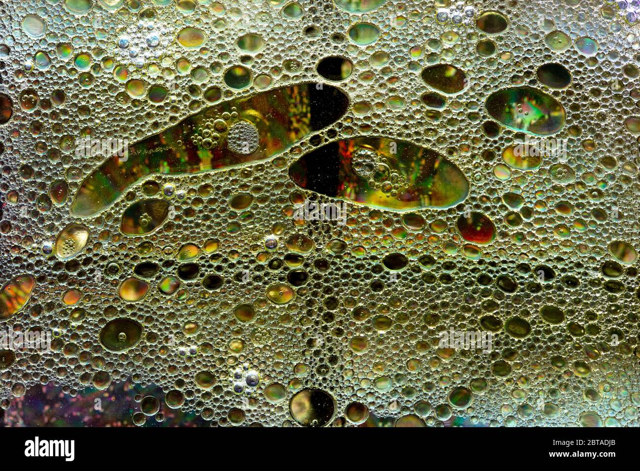 an amazing top view photograph of liquid water bubbles, macro shot ...