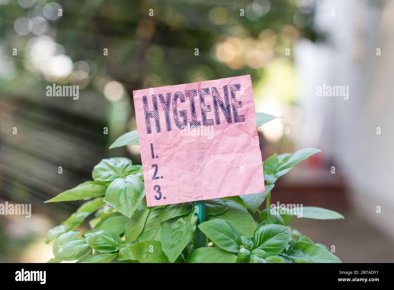 Conceptual hand writing showing Hygiene. Concept meaning study of ...
