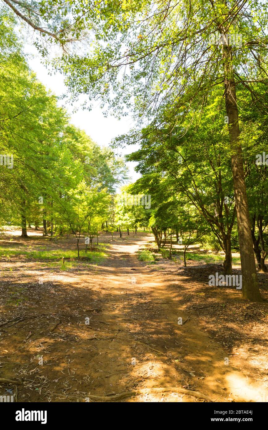 Shine on ground hi-res stock photography and images - Alamy