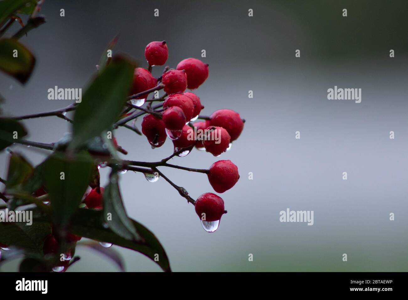 Spring showers hi-res stock photography and images - Alamy