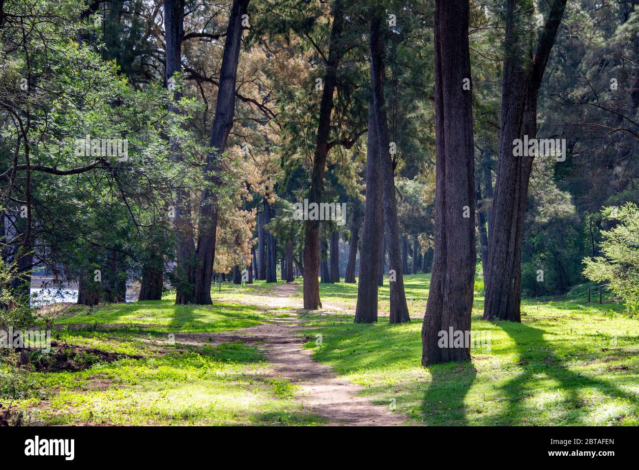 Riverbank walk Kangaroo River Kangaroo Valley Southern Highlands NSW ...