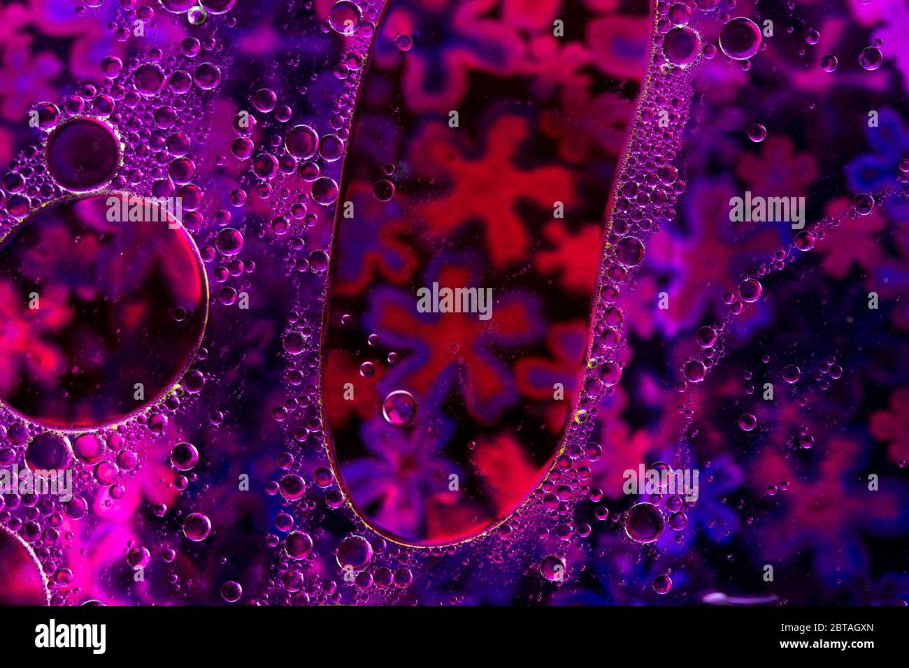an amazing top view photograph of liquid water bubbles, macro shot ...