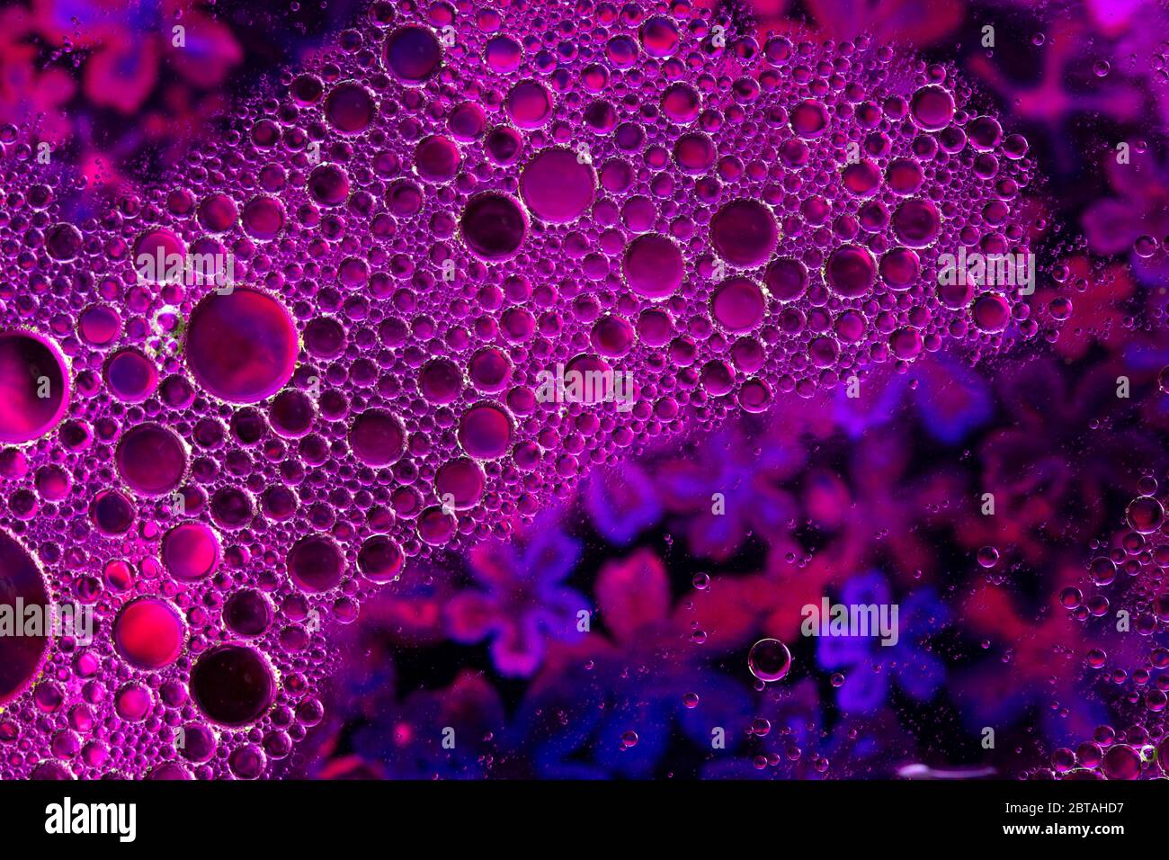 an amazing top view photograph of liquid water bubbles, macro shot ...