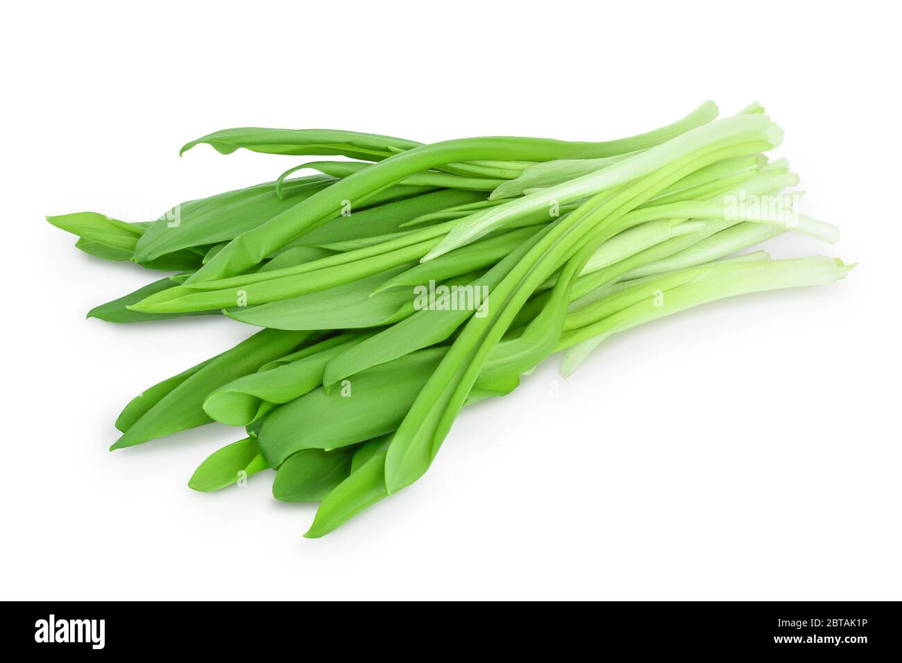 Ramson bunch vegetable isolated on white background with clipping path ...