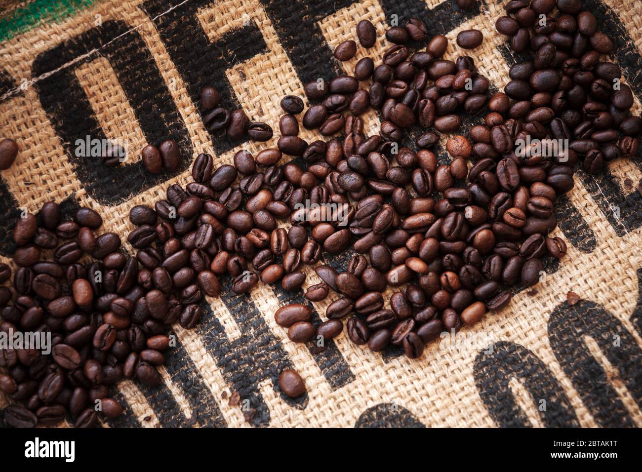 Roasted coffee beans are on jute bag fabric with standard black marking ...
