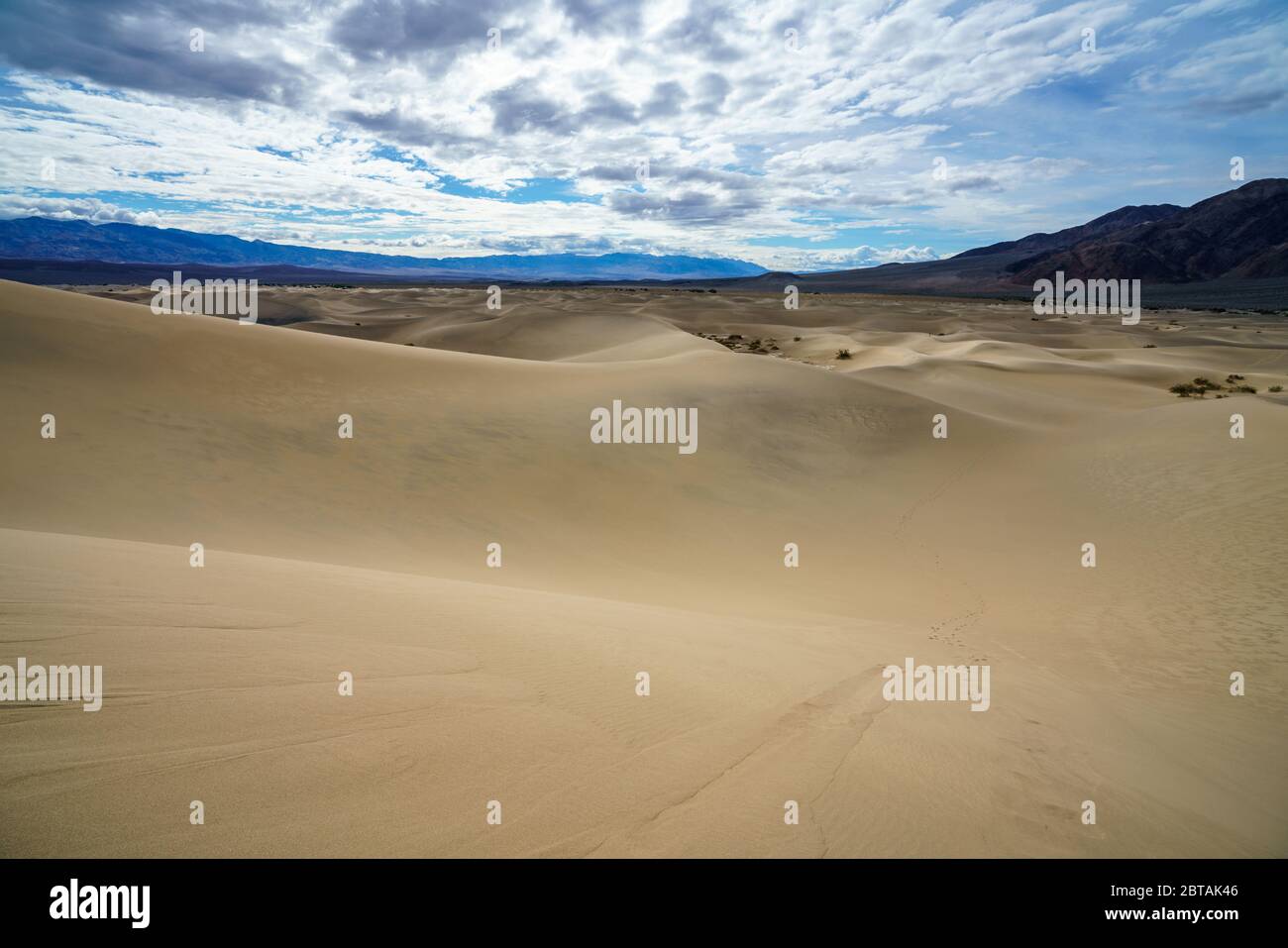 mesquite flat sand dunes in death valley national park in california in ...