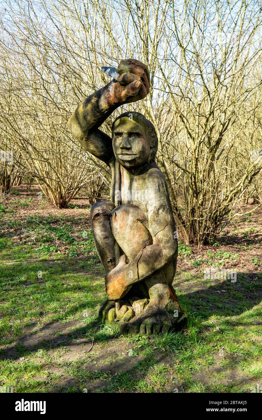 Oak with embedded flint hi-res stock photography and images - Alamy