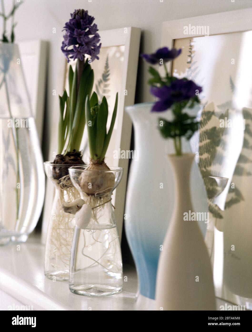 Vases flower hi-res stock photography and images - Alamy