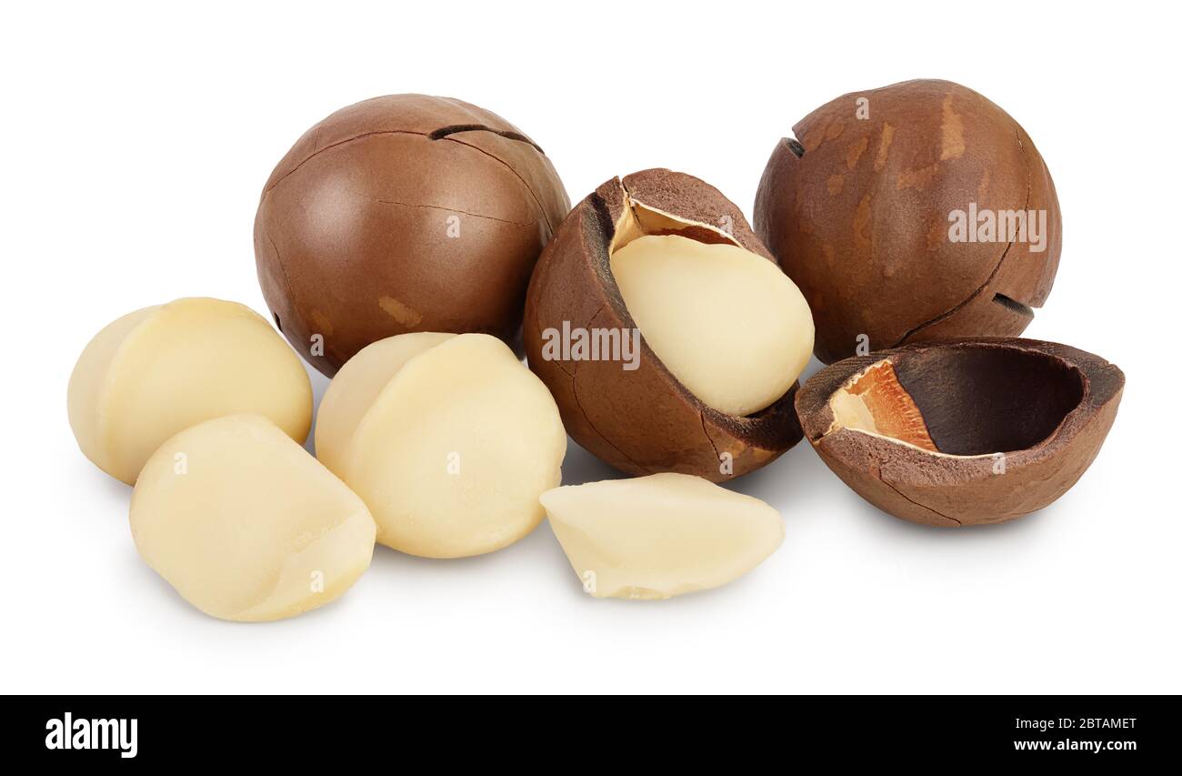 macadamia nuts isolated on white background with clipping path and full ...