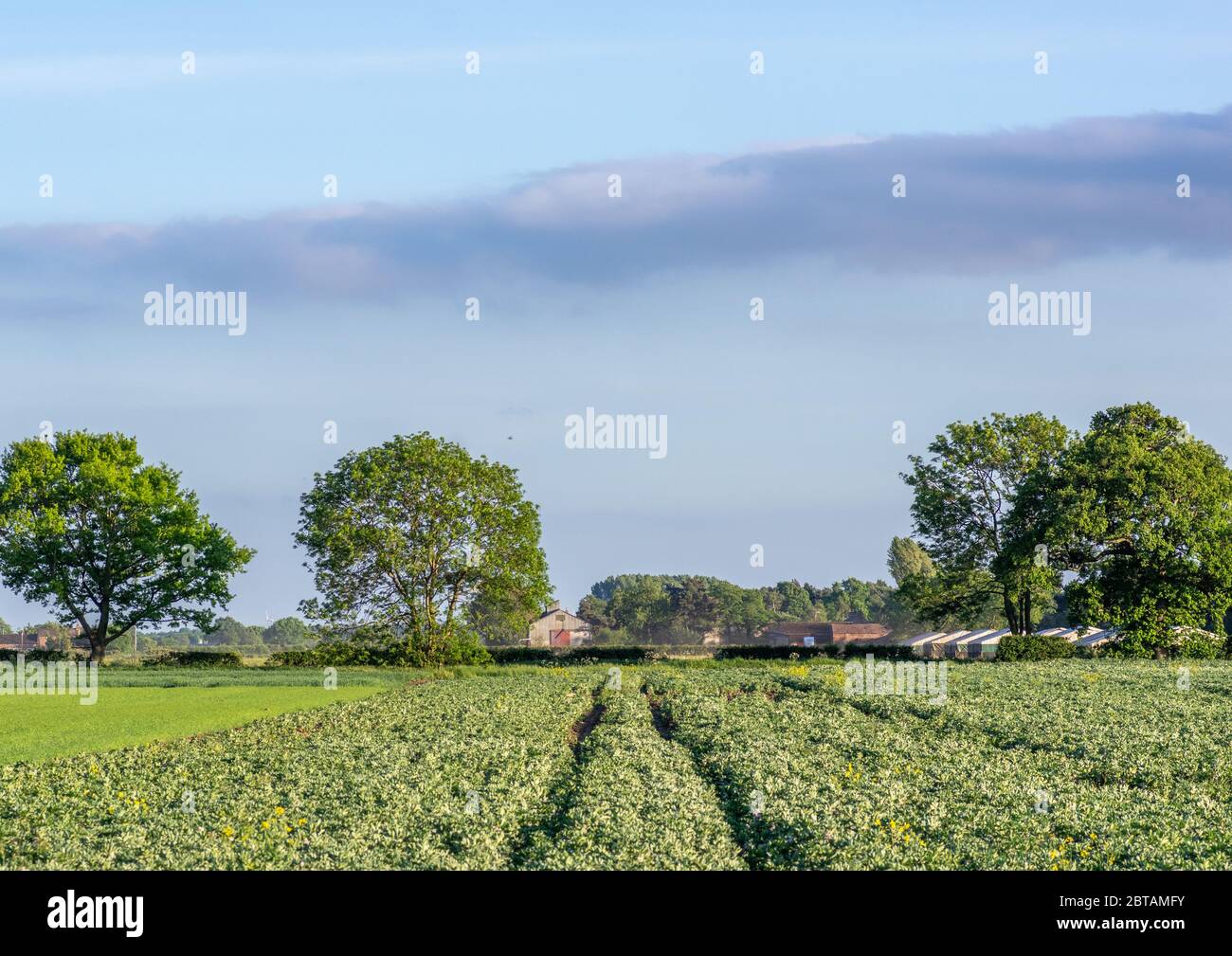 Food tracks hi-res stock photography and images - Alamy