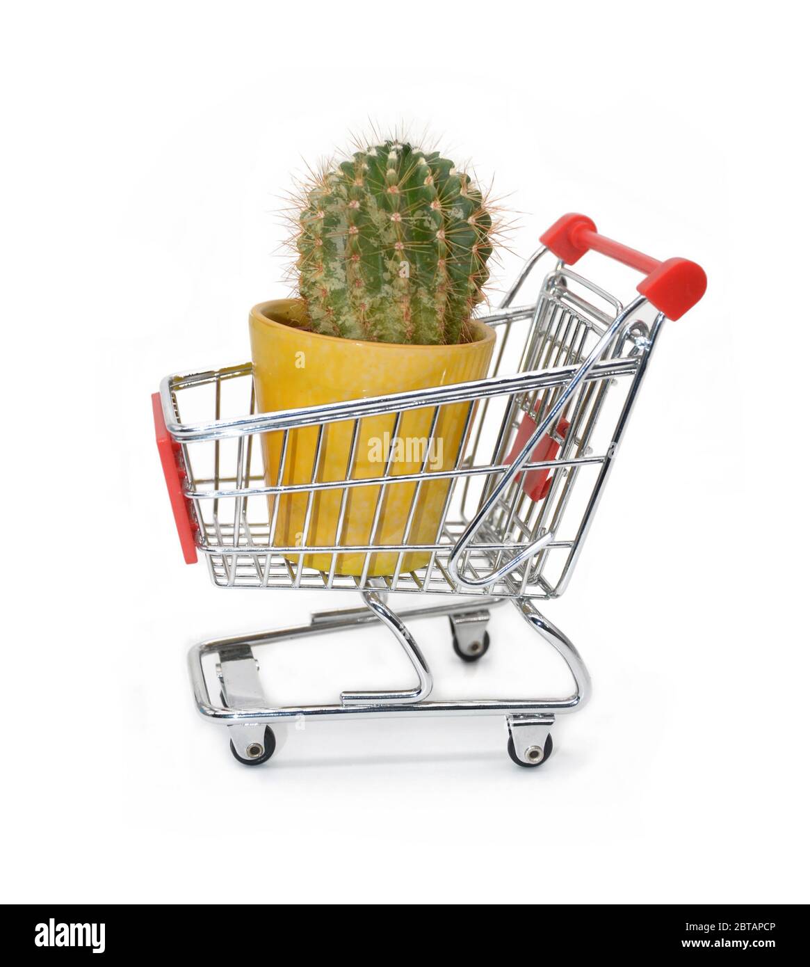 Shoppingcart hi-res stock photography and images - Alamy