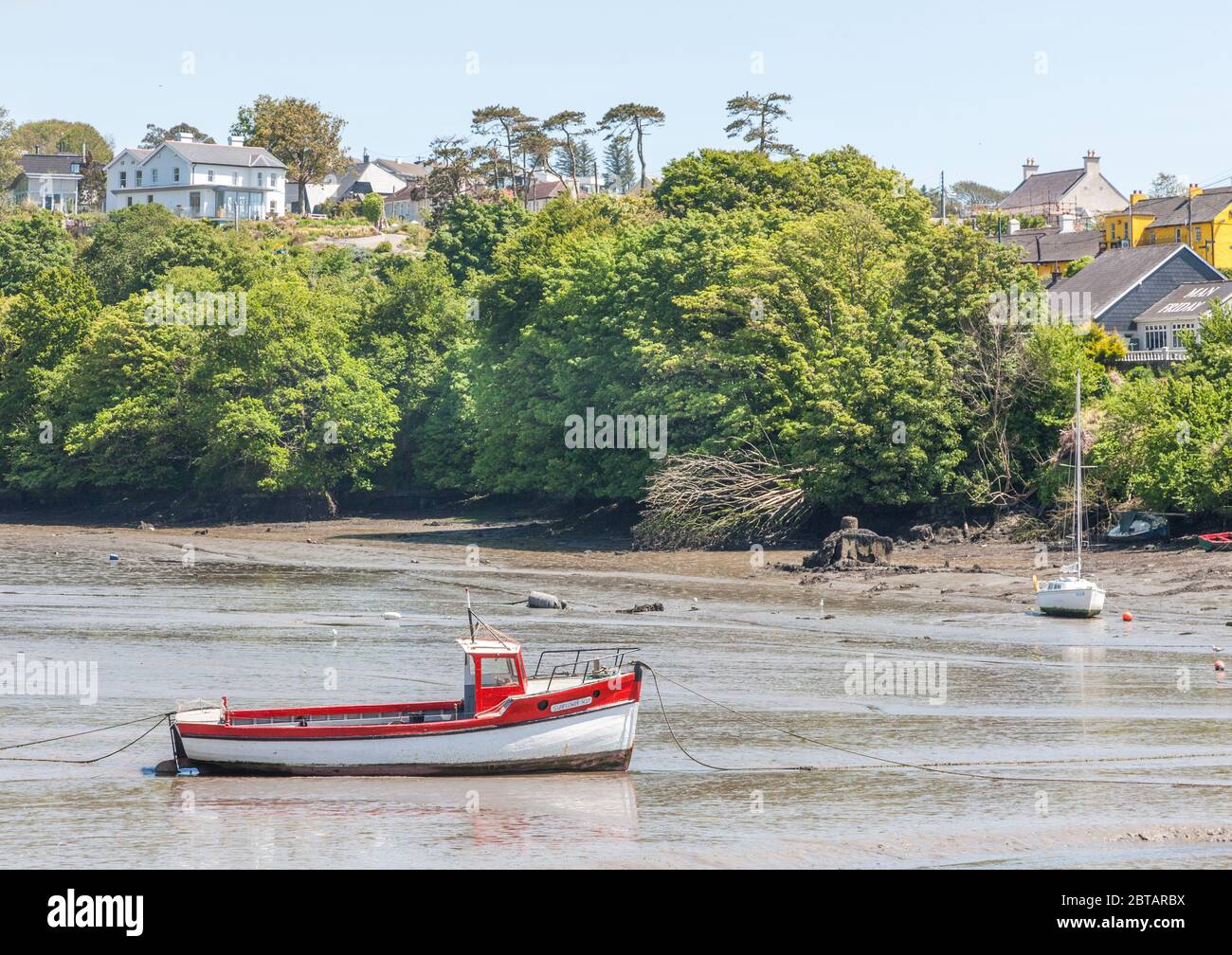 Sunflower in harbour hi-res stock photography and images - Alamy