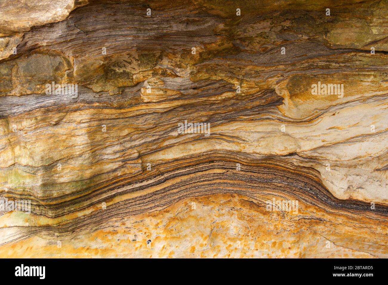 These Jurassic sedimentary rocks show an shallow marine environment in ...