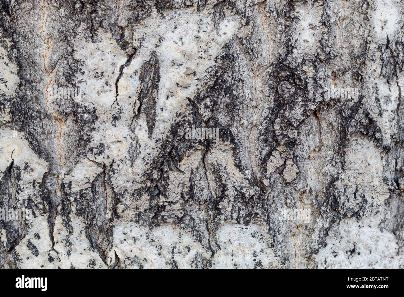 Grain texture overlay hi-res stock photography and images - Alamy