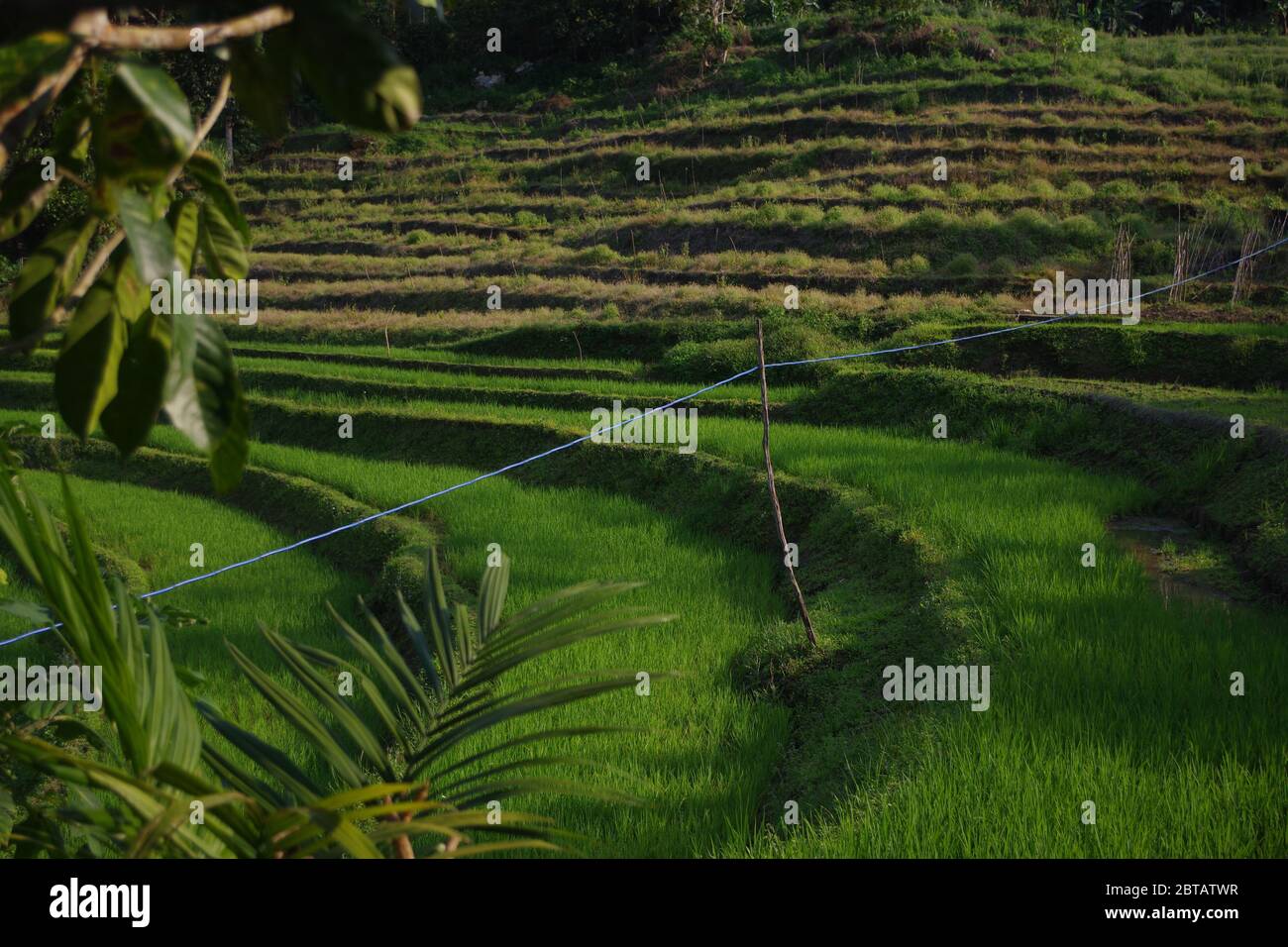 Rice fields carved along the sides of the mountain, an ancient farming ...