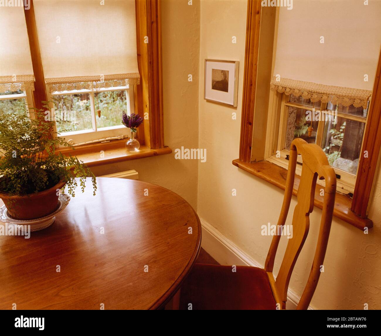 Cream blinds on windows in dining room Stock Photo - Alamy