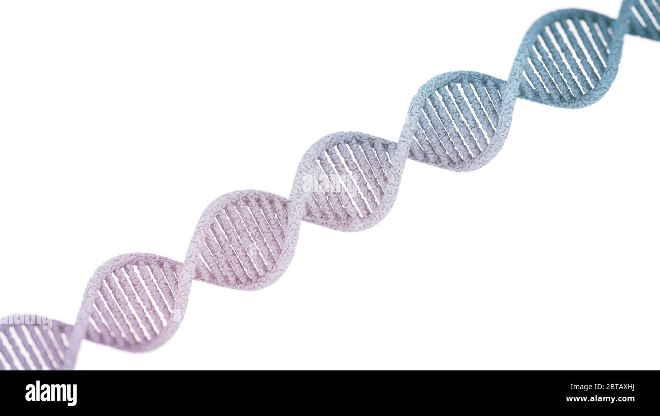 DNA strand isolated on white background. 3D illustration Stock Photo ...