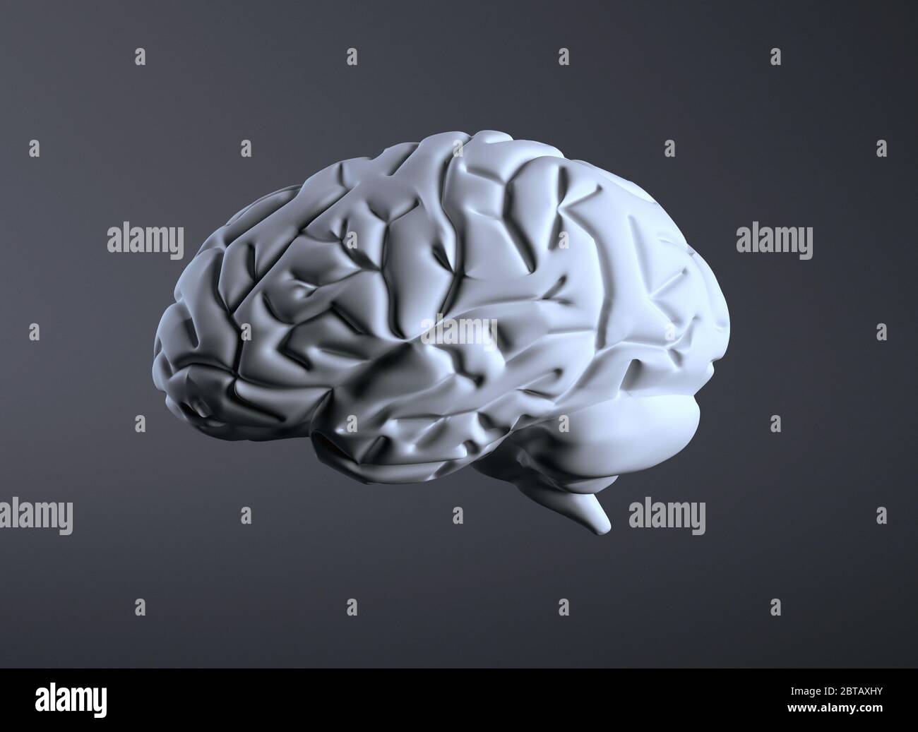 Human brain 3d illustration Stock Photo - Alamy
