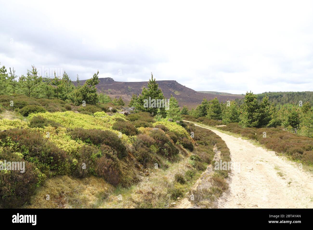 Rothbury and simonside hills hi-res stock photography and images - Alamy