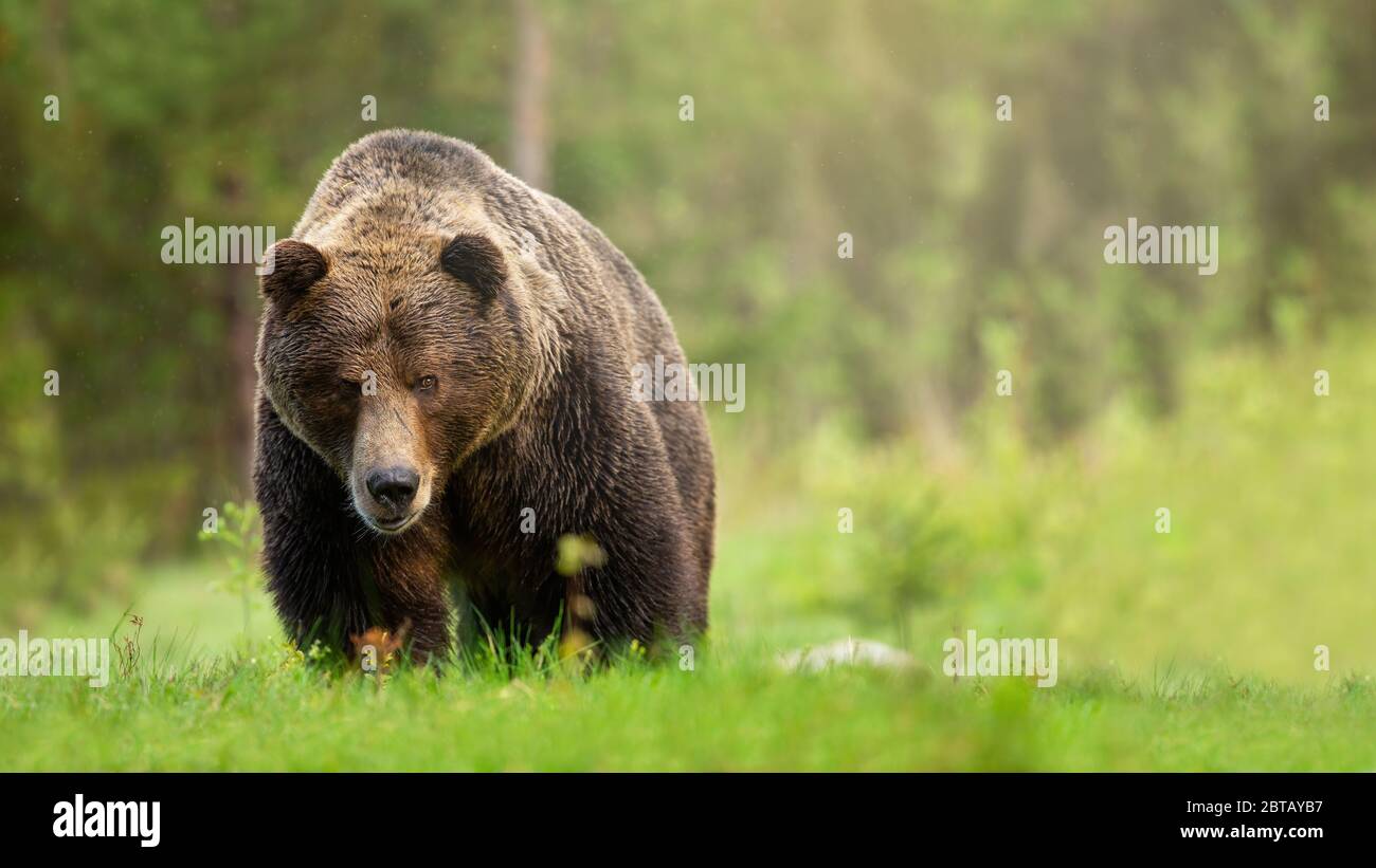 Approaching male hi-res stock photography and images - Alamy