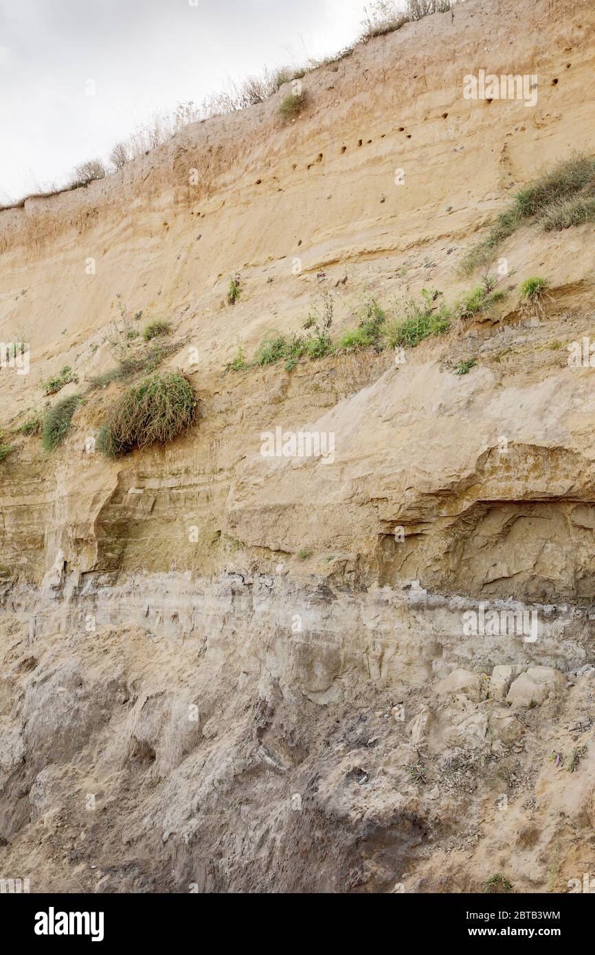 erosion on a cliff face in happisburgh england showing different layers ...