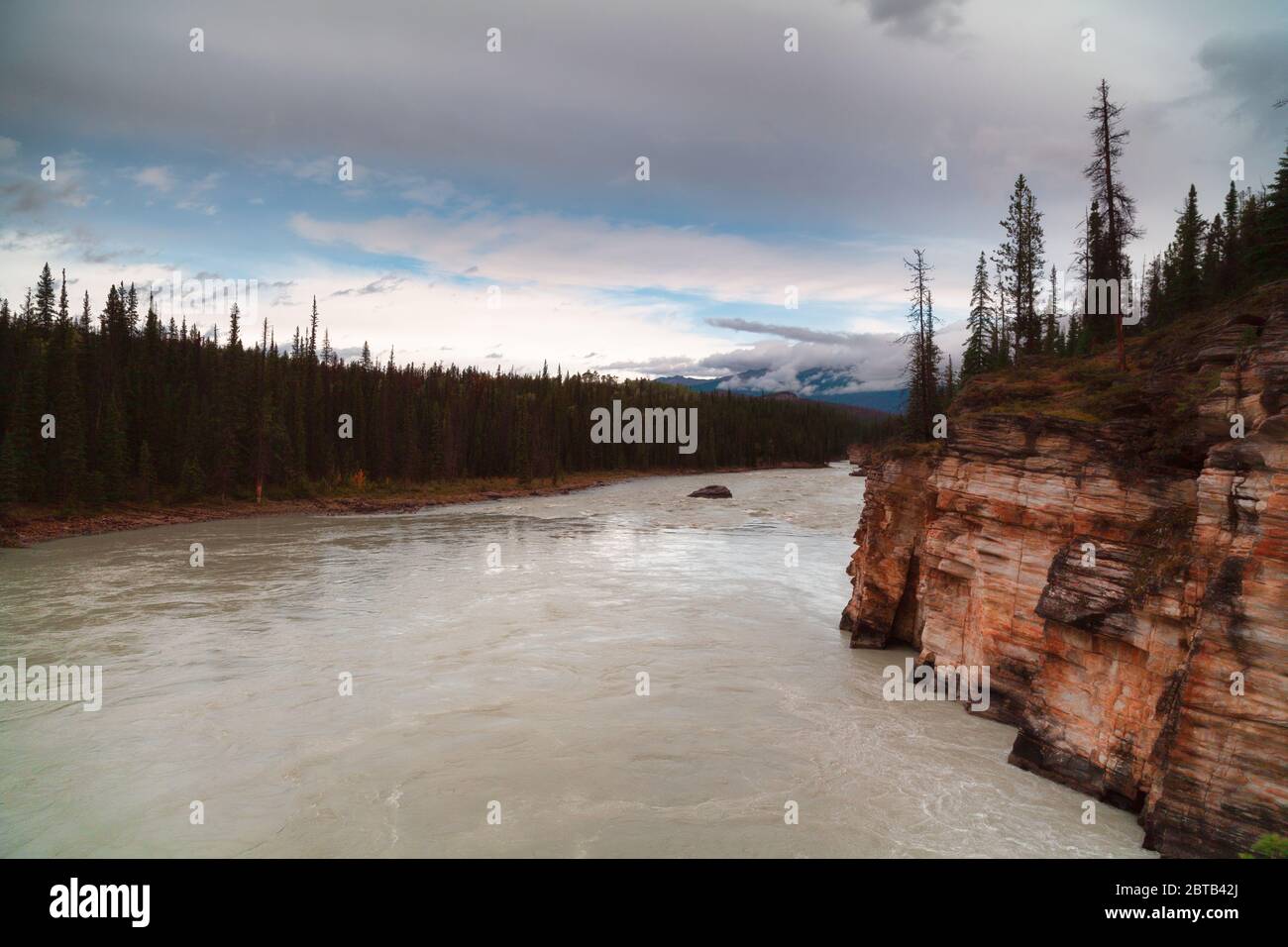 Jasper forest trail hi-res stock photography and images - Alamy