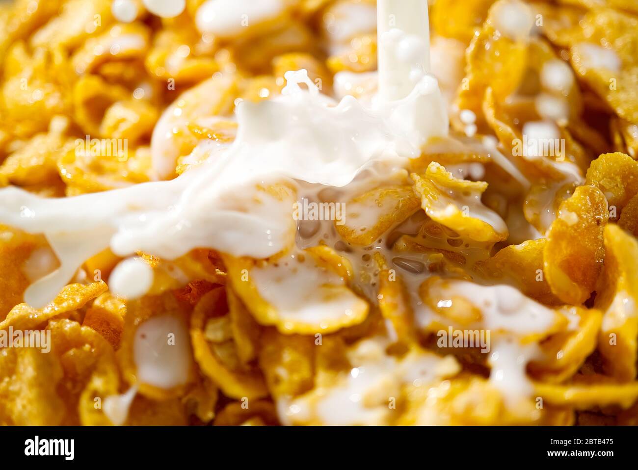 pouring milk into cornflakes close up. soft focus. cornflakes and milk ...