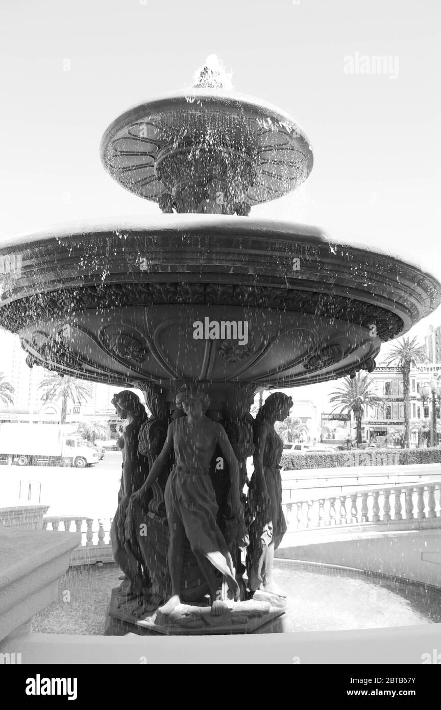 Outside shopping mall with palm trees Black and White Stock Photos ...