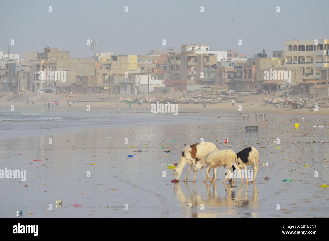 Yoff beach, an artisanal fishing landing site and populous coastal ...
