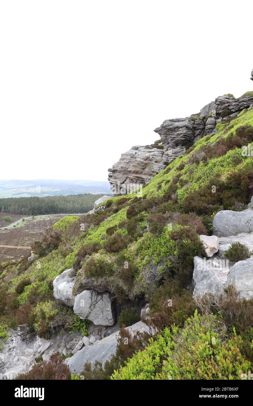 Northumberland simonside heather rothbury hi-res stock photography and ...