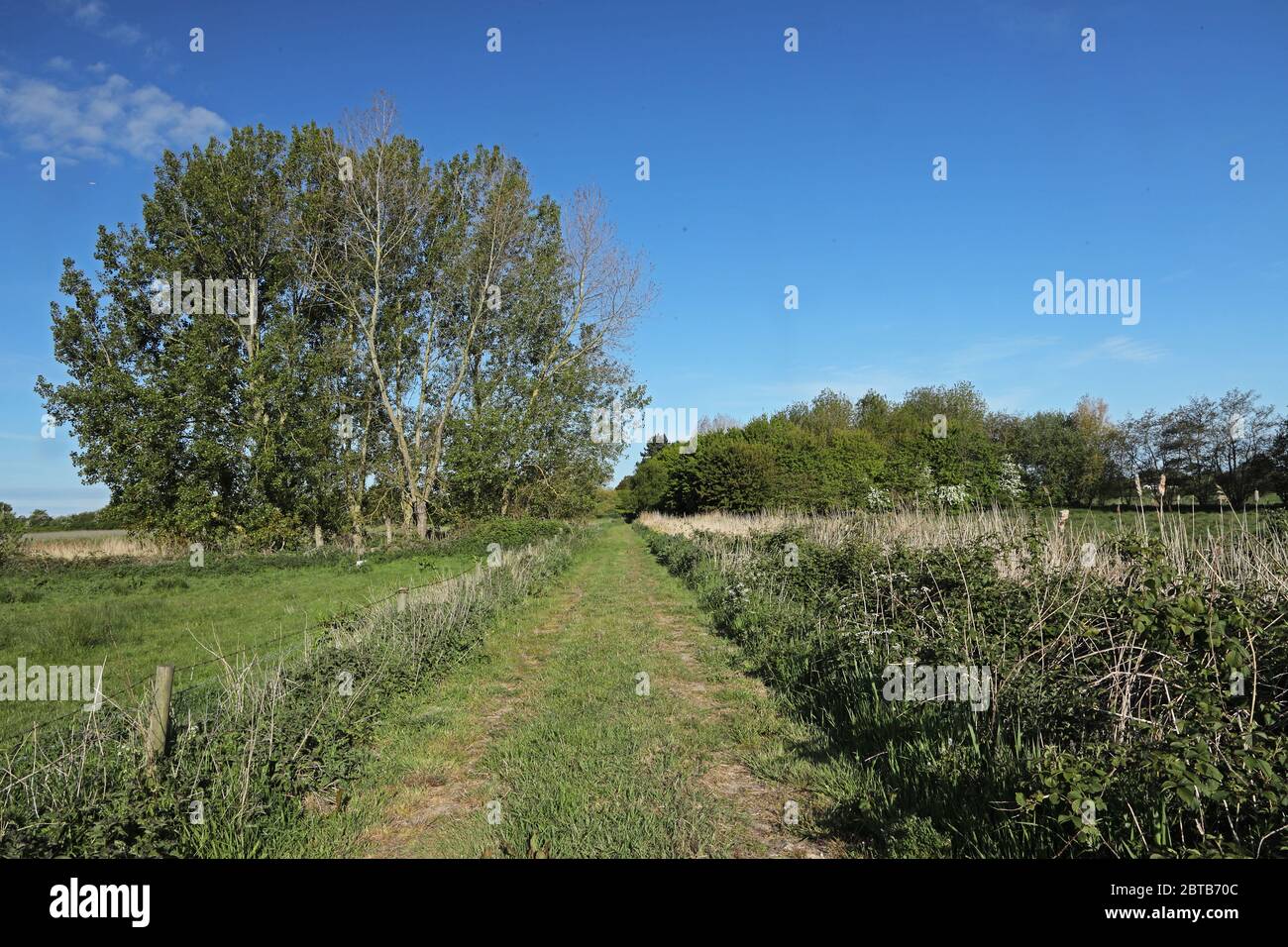 Damp scenery hi-res stock photography and images - Alamy
