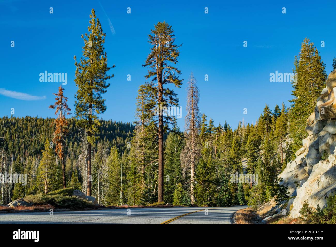 Empty road running through Sierra Nevada mountain scenery with on sunny ...