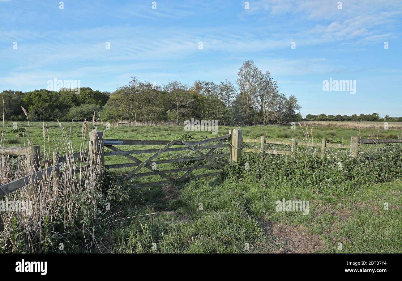 Farm gate broken hi-res stock photography and images - Alamy