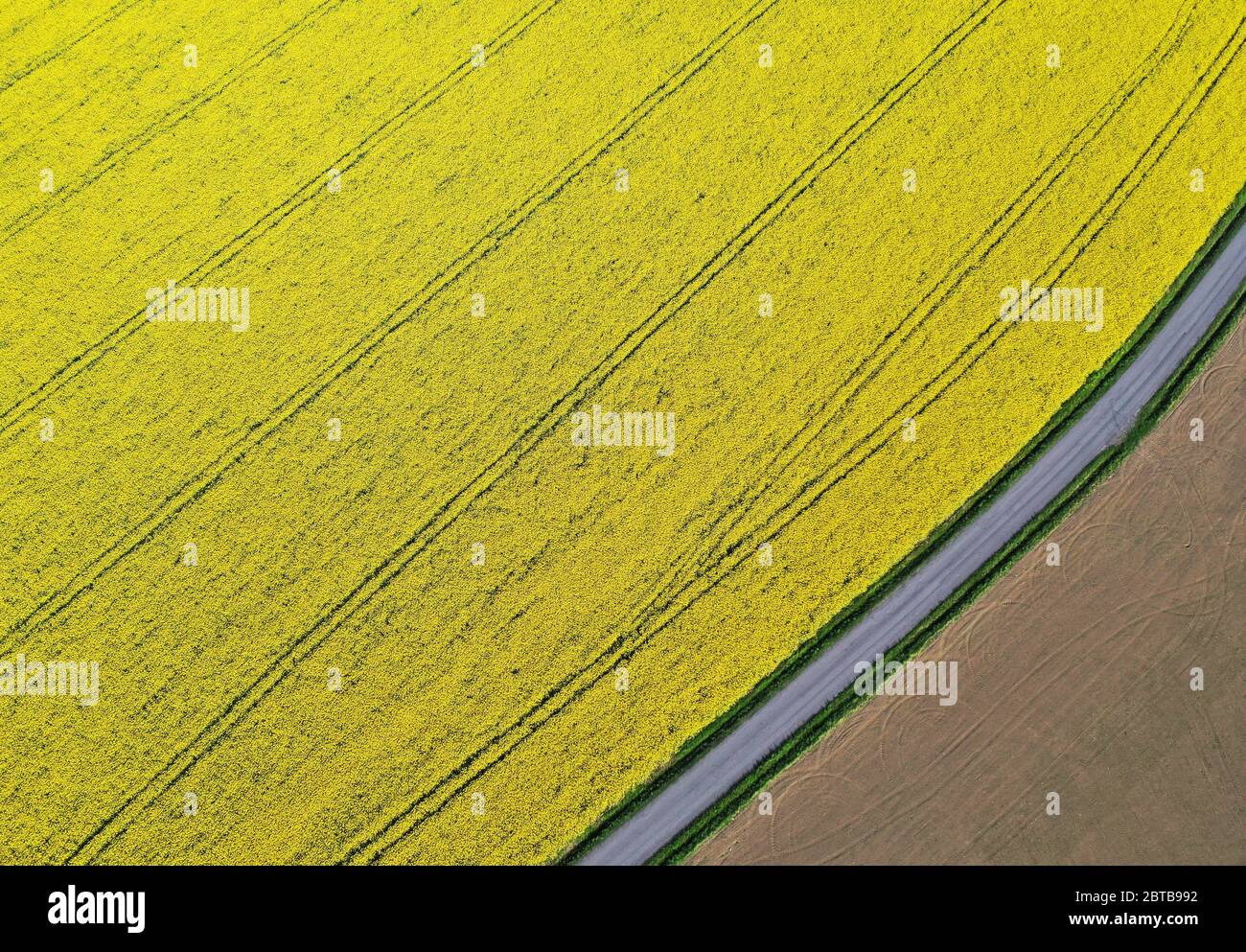 Motala, Sweden 20200518 Aerial view of blooming rapeseed field. Photo ...