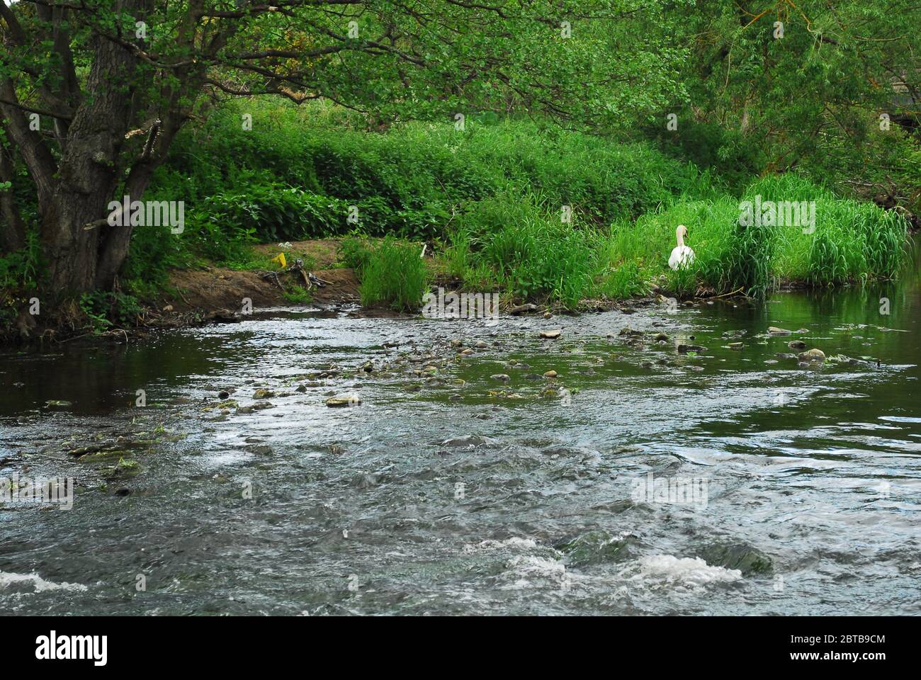 River Derwent, Derwent Country Park, Swalwell, Gateshead, UK Stock ...