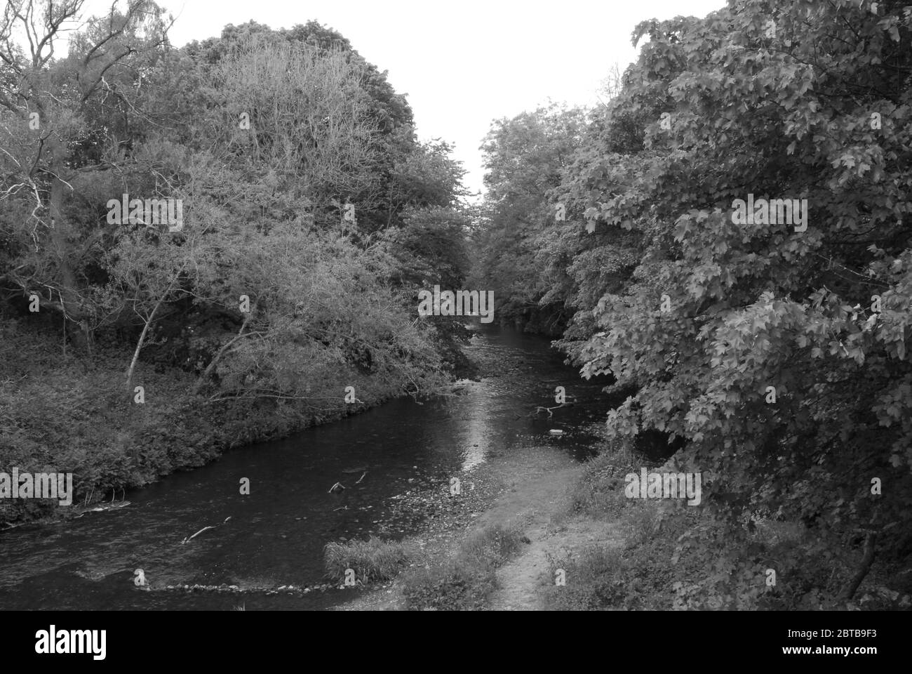 River Derwent, Derwent Country Park, Swalwell, Gateshead, UK Stock ...