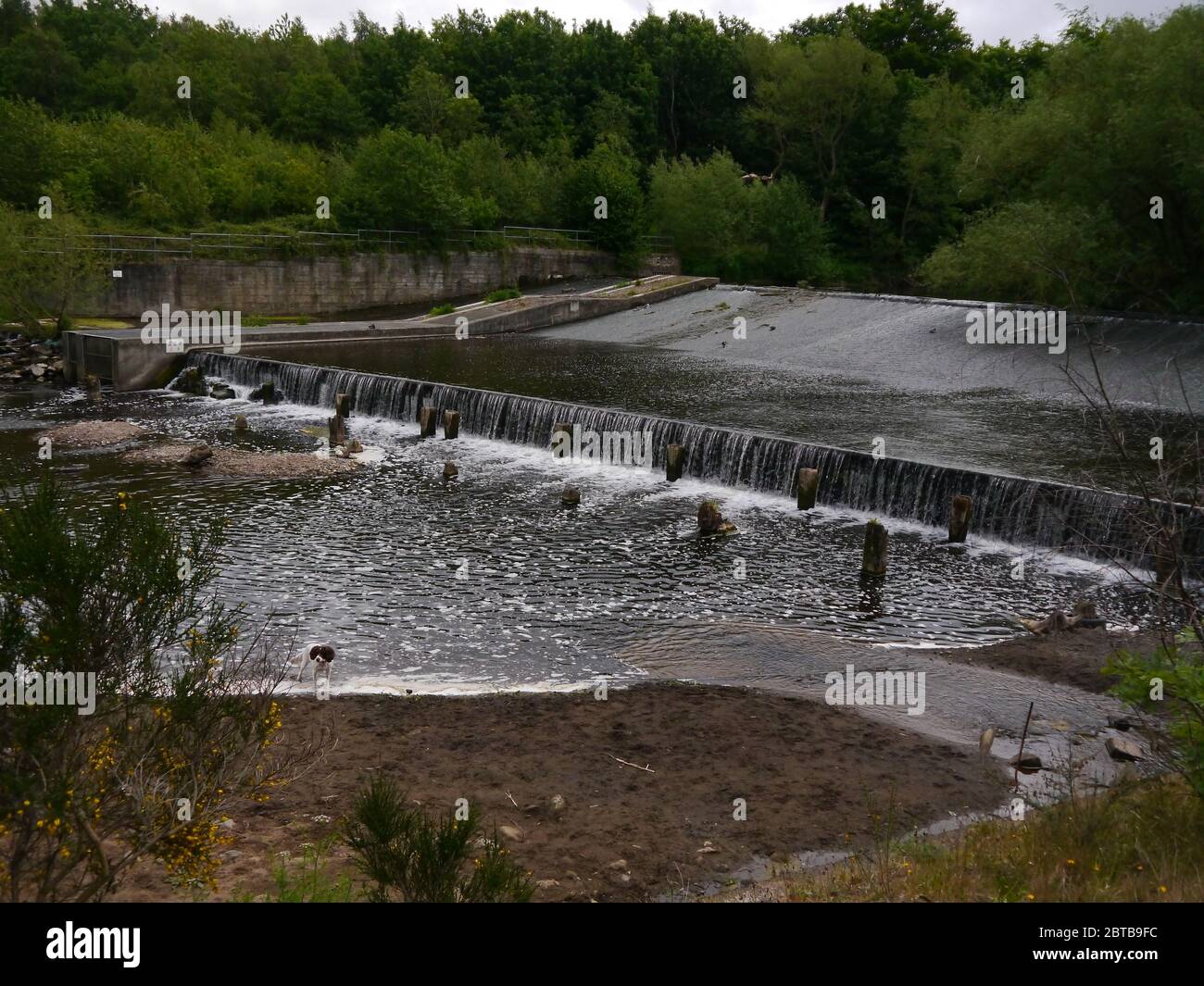 Fish Pass and Weir on the River Derwent, Derwent Country Park, Swalwell ...