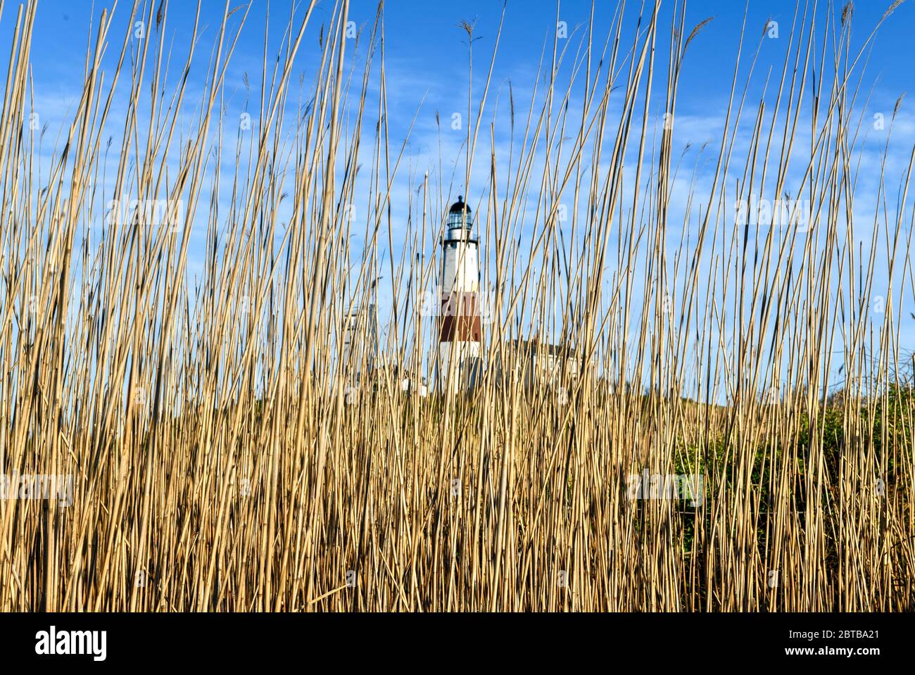 Long beach new york history hi-res stock photography and images - Alamy