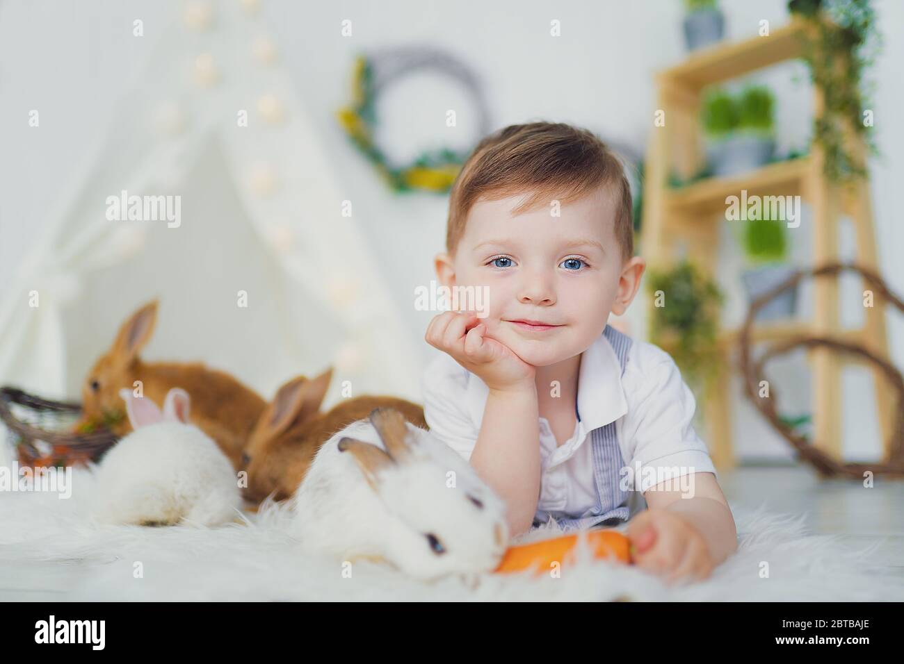 Happy laughing little boy playing with a baby rabbit, feeding it ...