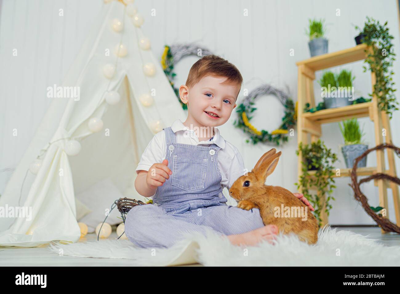 Happy laughing little boy playing with a baby rabbit, feeding it ...