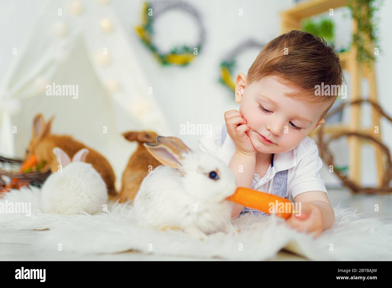Happy laughing little boy playing with a baby rabbit, feeding it ...