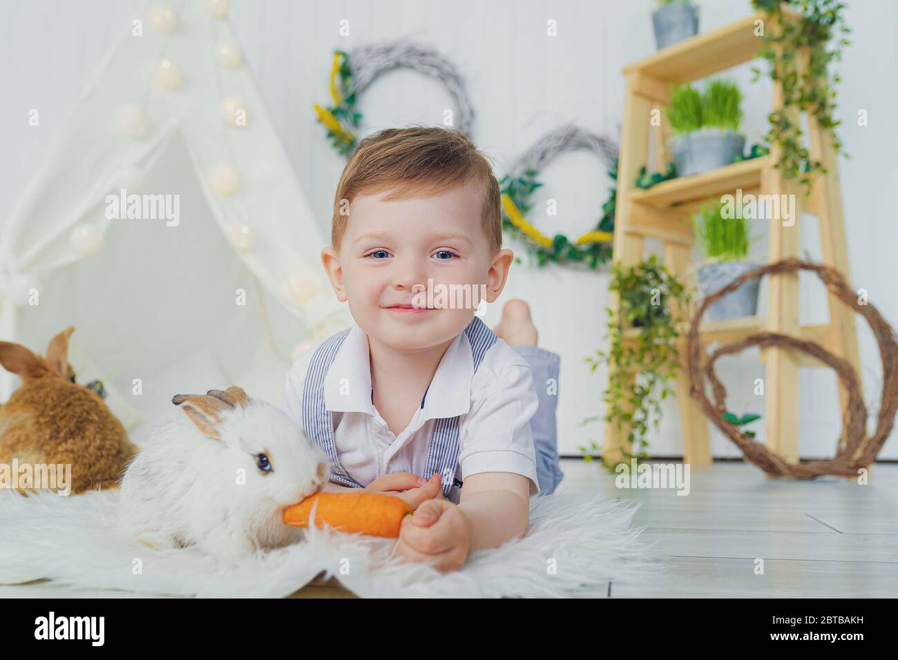 Happy laughing little boy playing with a baby rabbit, feeding it ...