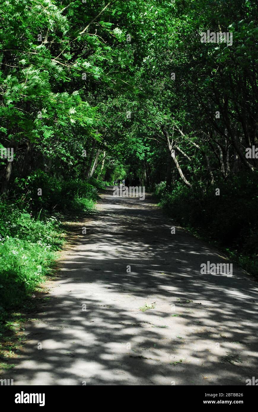 Derwent Walk, Derwent Countryside Park, Swalwell, Gateshead, UK Stock ...